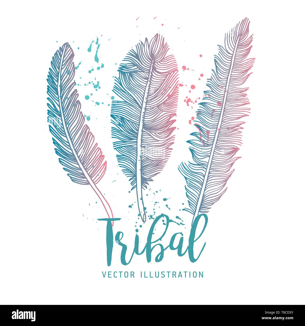 Feathers set illustration set on white background. Hand drawn vector ...