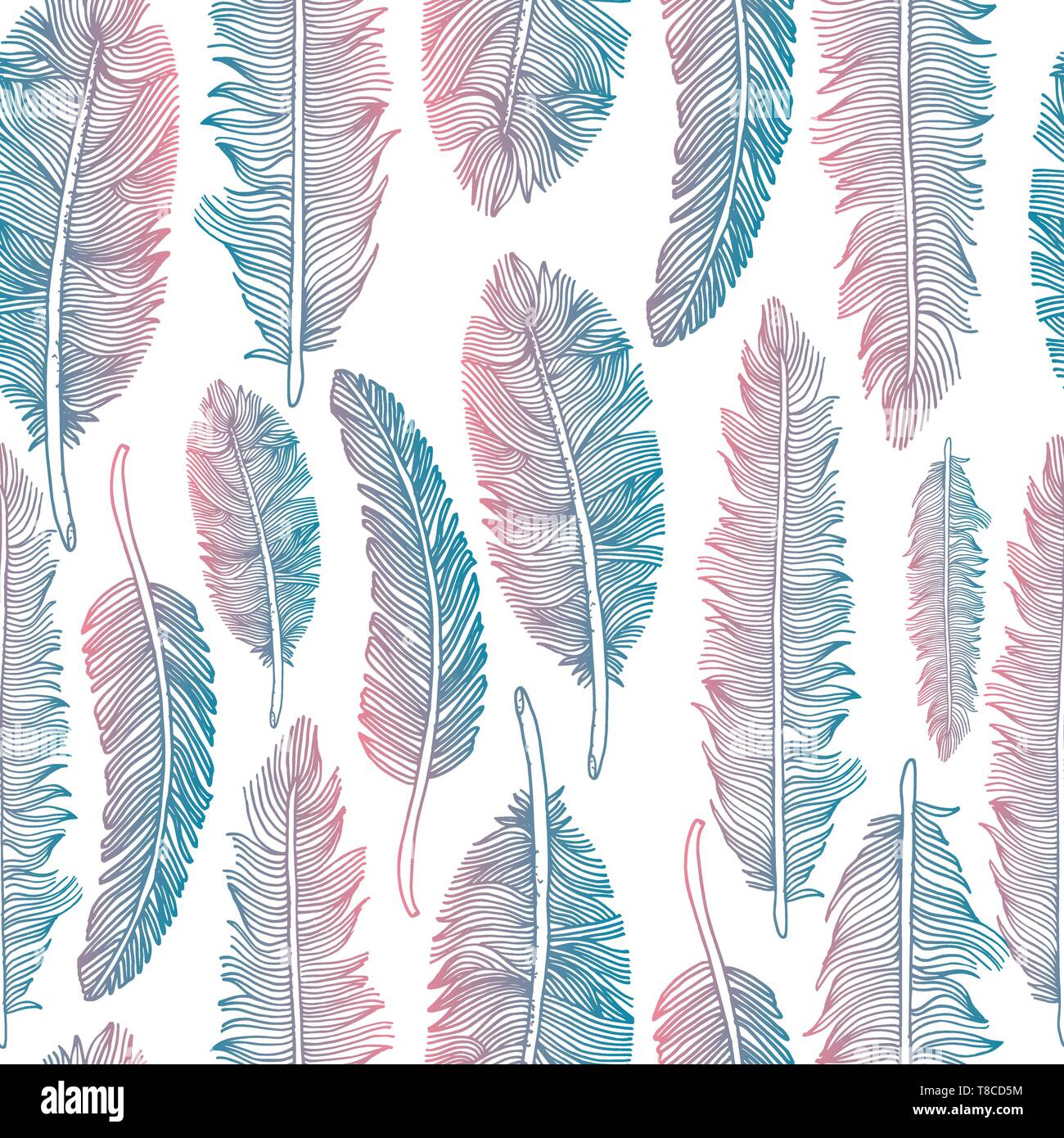 Feathers set illustration set on white background. Hand drawn vector ...