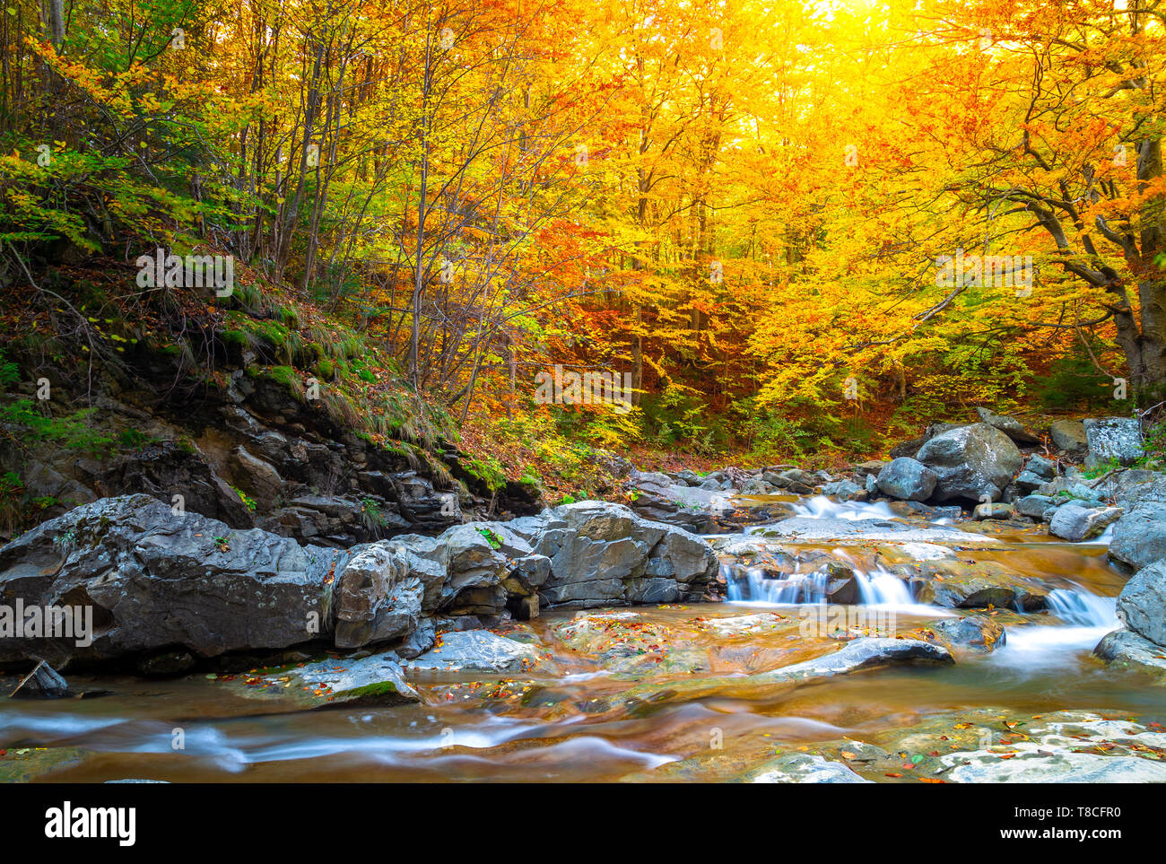 Putna waterfall romania hi-res stock photography and images - Alamy