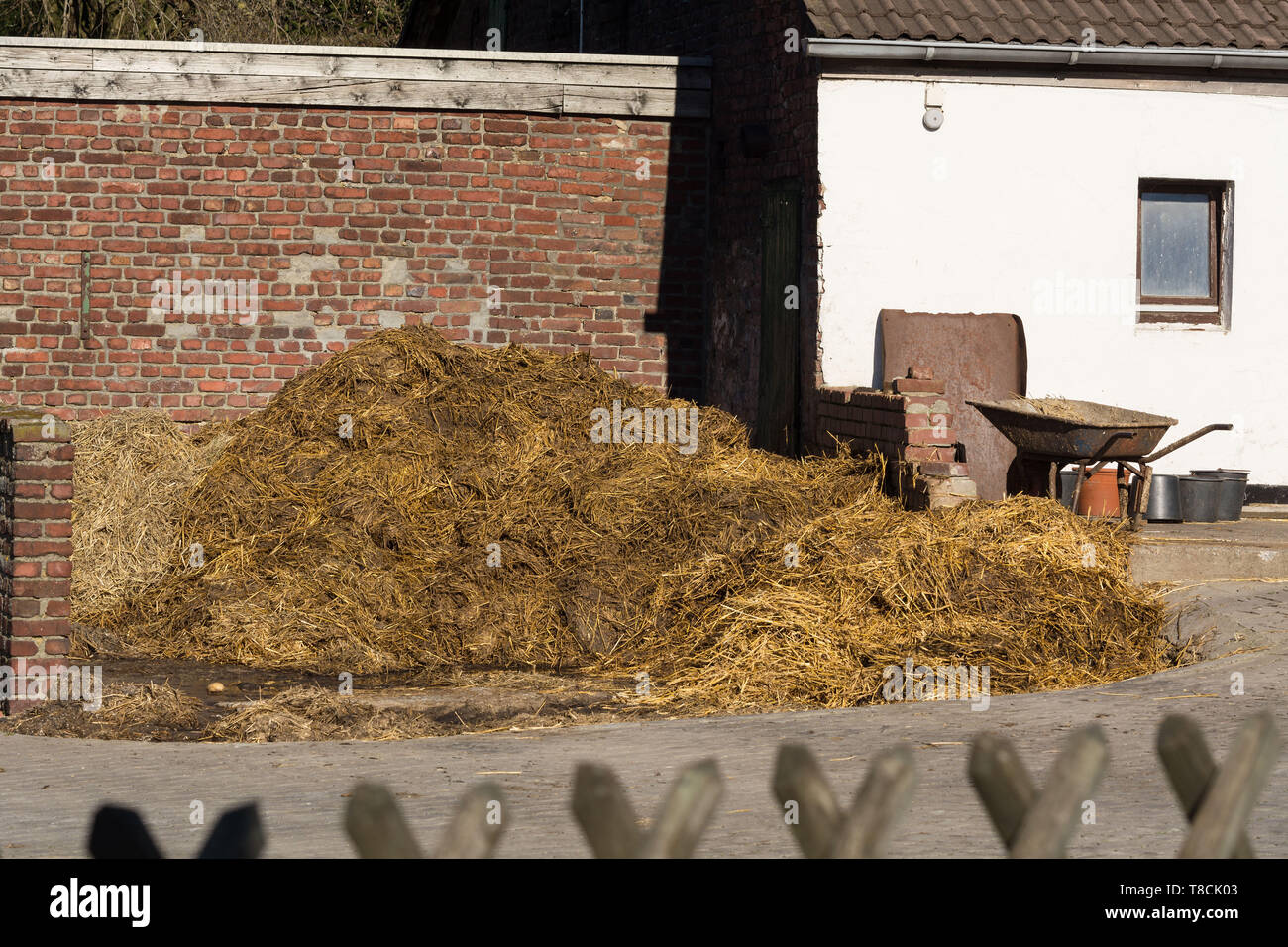 Pile of stinking dung. Manure heap on a farmhouse in Germany Stock ...
