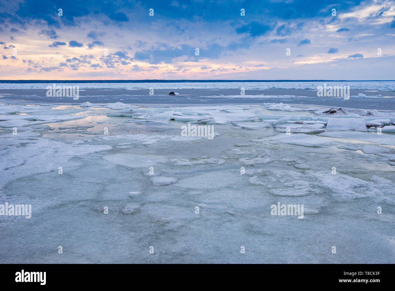 Beach in wintertime. Frozen sea, evening light and icy weather on shore ...