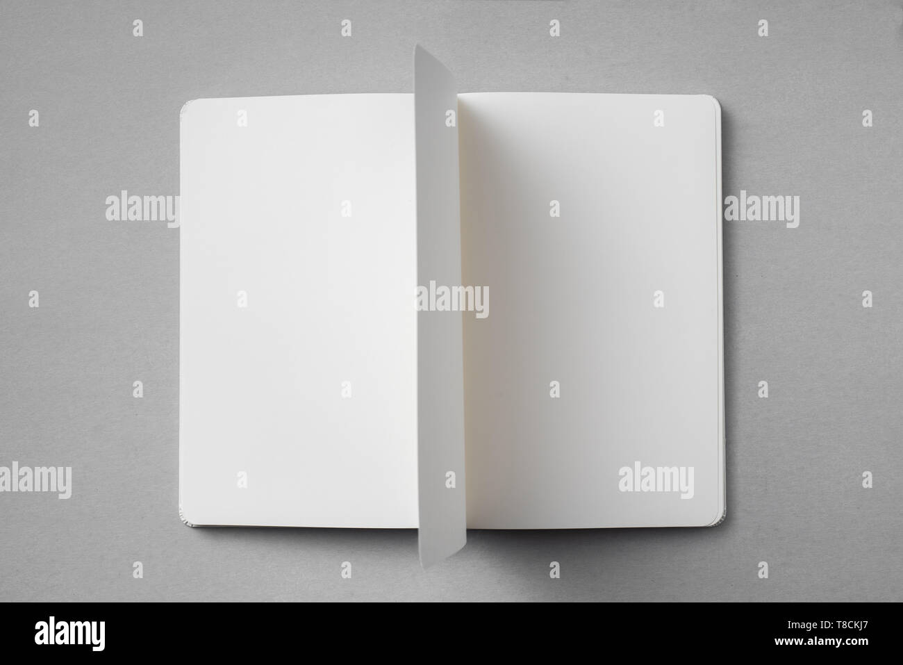 Design concept - top view of white notebook with blank open, turn and ...