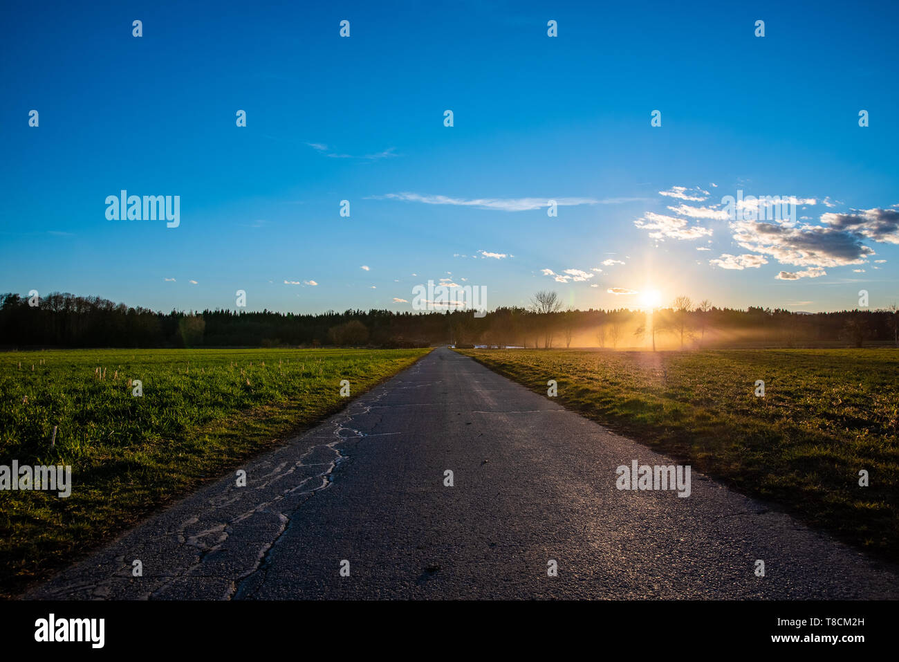 Asphalt road in countryside on sunny spring day.. Route in beautiful ...