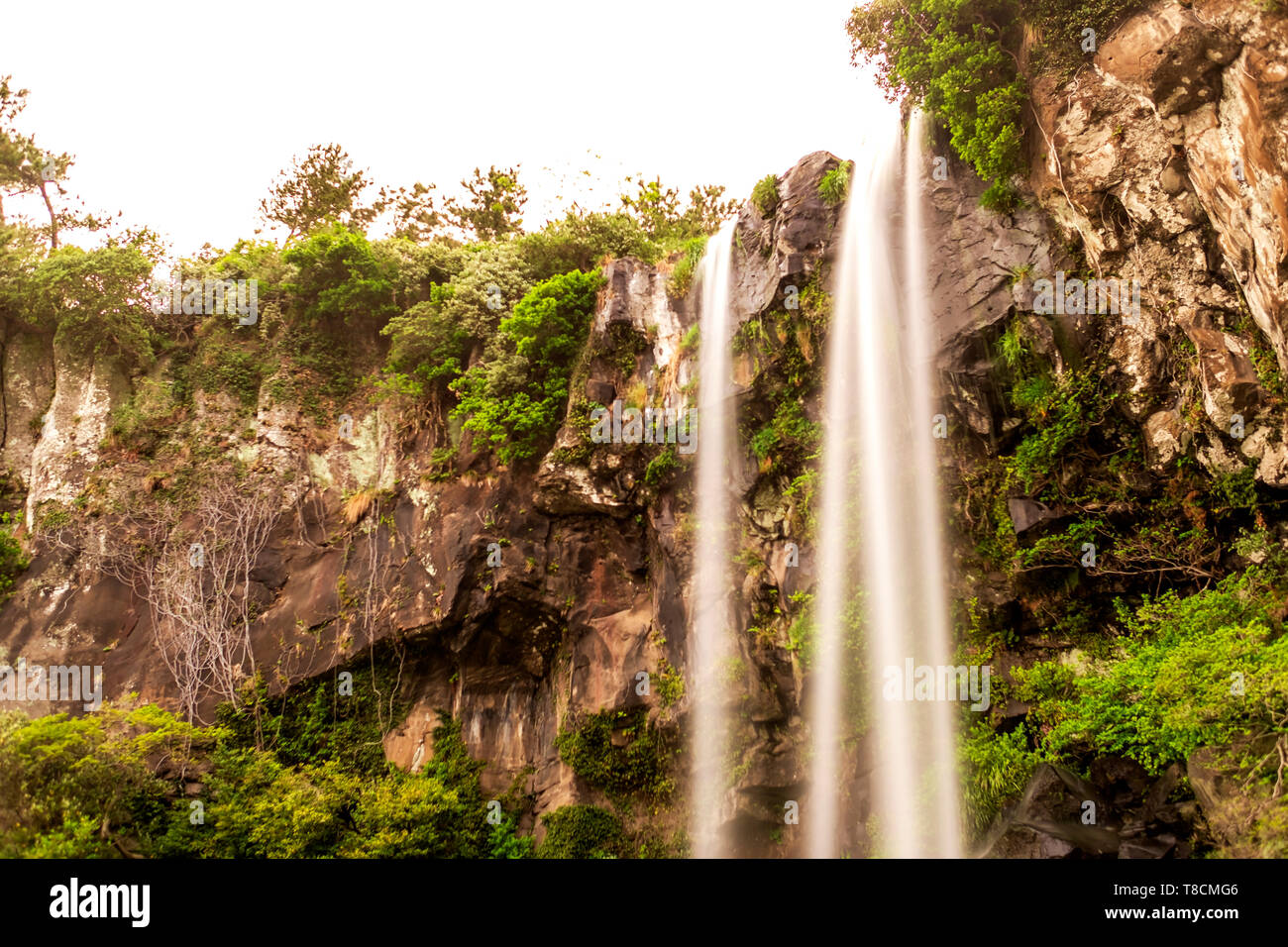 Jeongbang waterfall in Jeju, South Korea Stock Photo - Alamy
