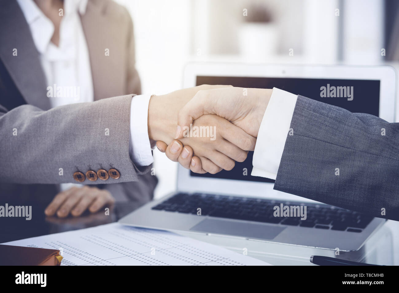 Business handshake after contract signing. Two women shaking hands ...