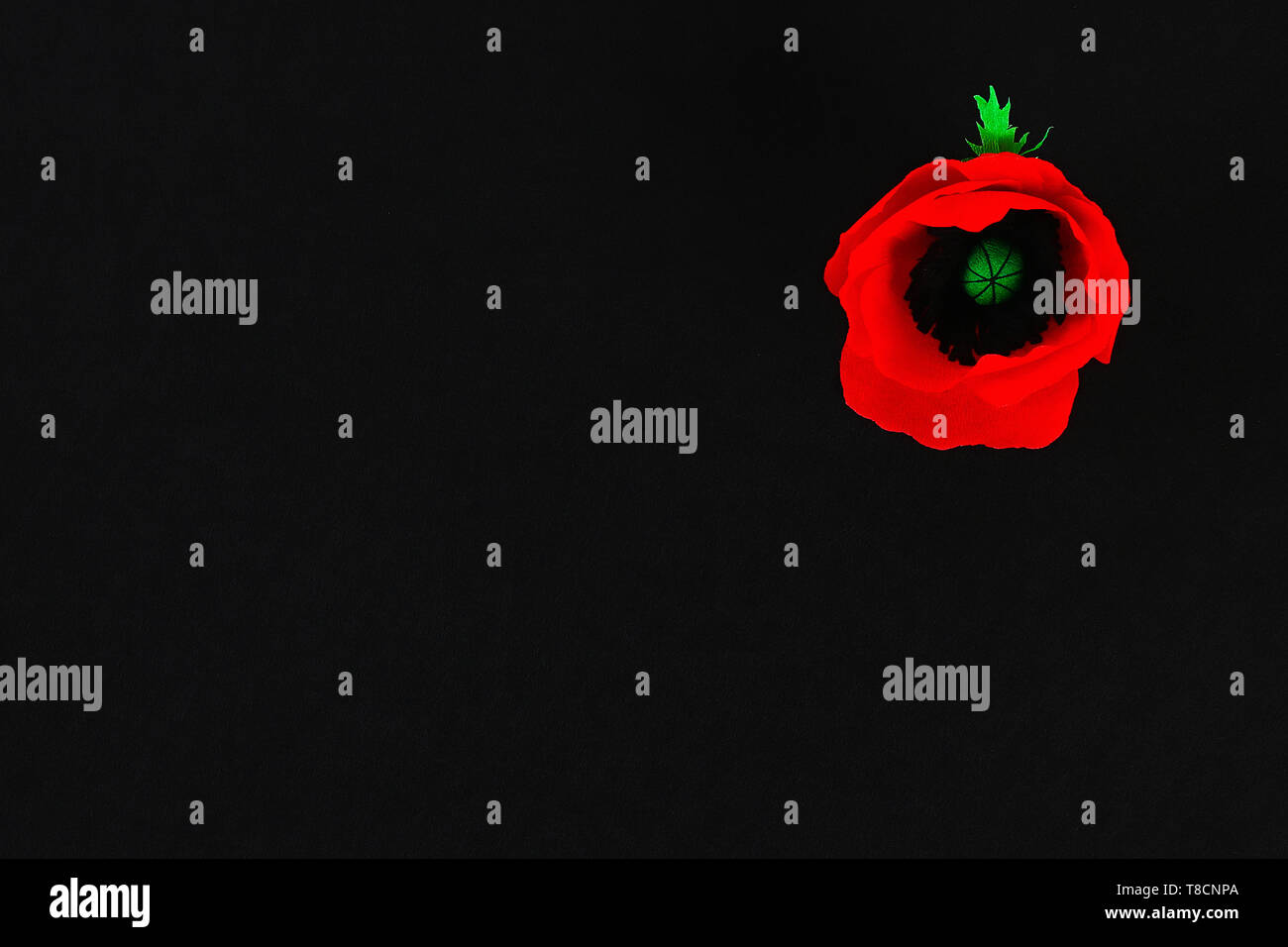 Diy paper red poppy Anzac Day, Remembrance, Remember, Memorial day made ...