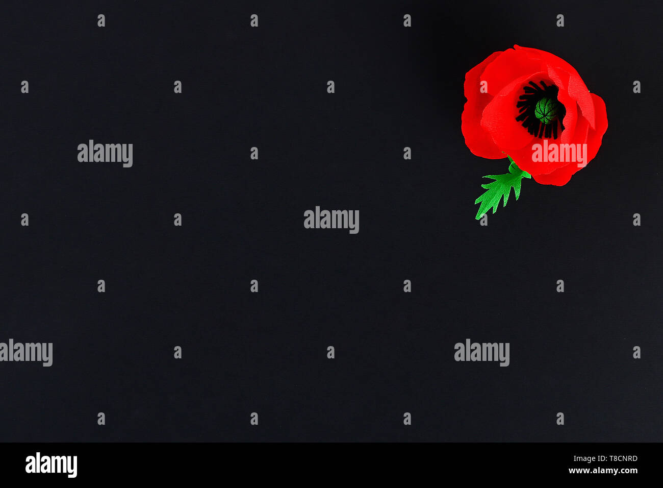 Diy paper red poppy Anzac Day, Remembrance, Remember, Memorial day made ...