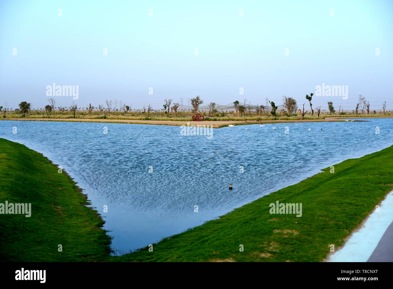 Love lake at Al Qudra, Manmade Lake at the Al Qudra Desert, Dubai ...