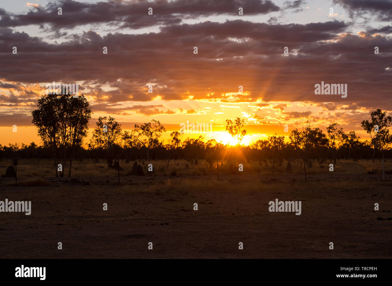 Sunrise in the Outback Stock Photo - Alamy