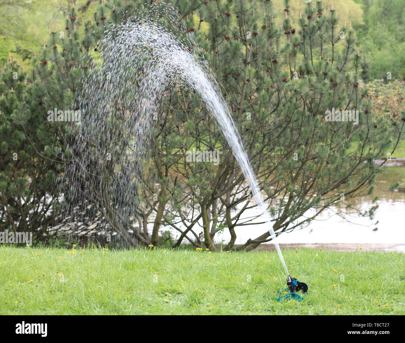sprinkler in japan garden Stock Photo - Alamy