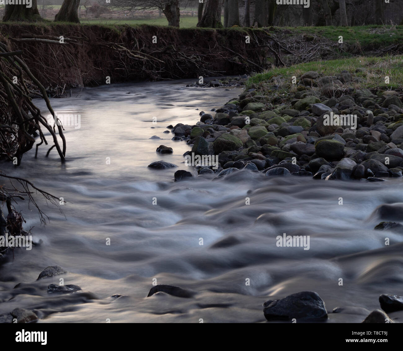 Smooth nature hi-res stock photography and images - Alamy