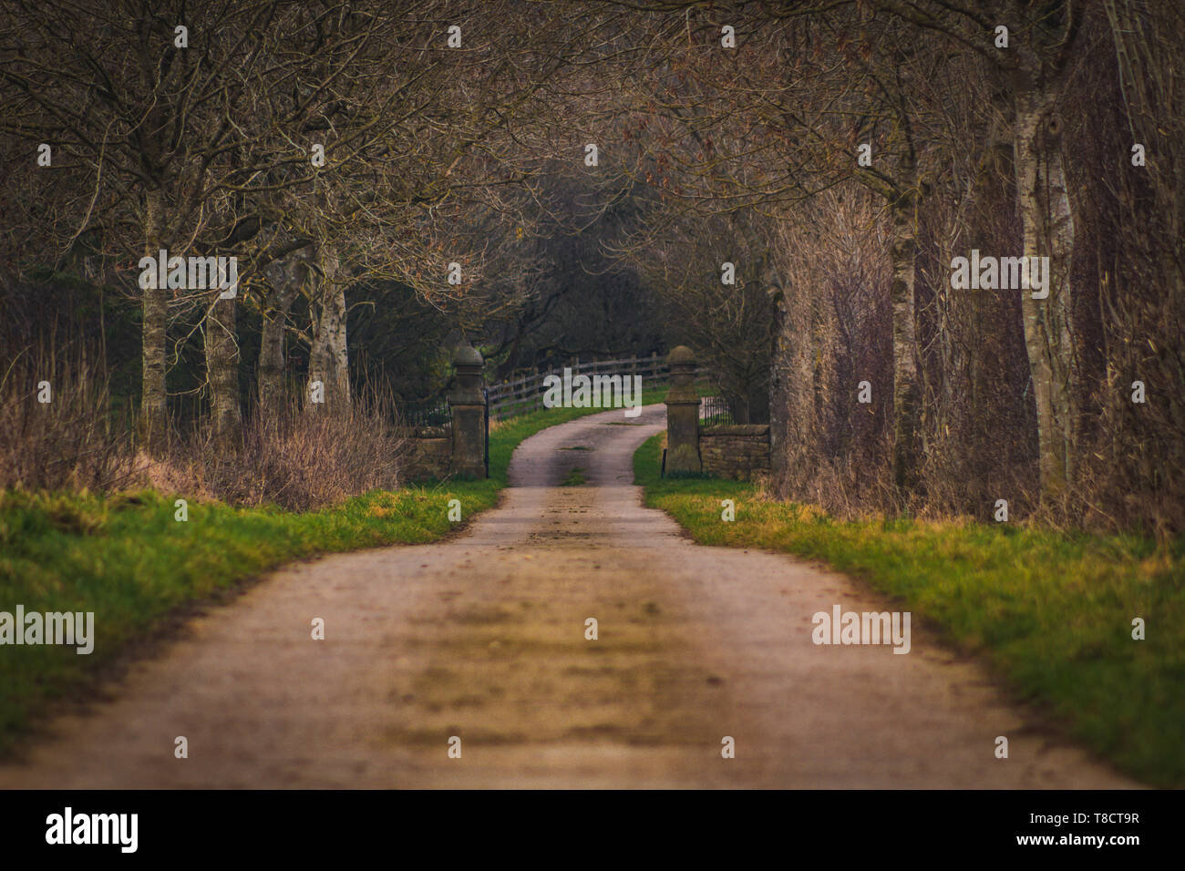 Long road illustration hi-res stock photography and images - Alamy