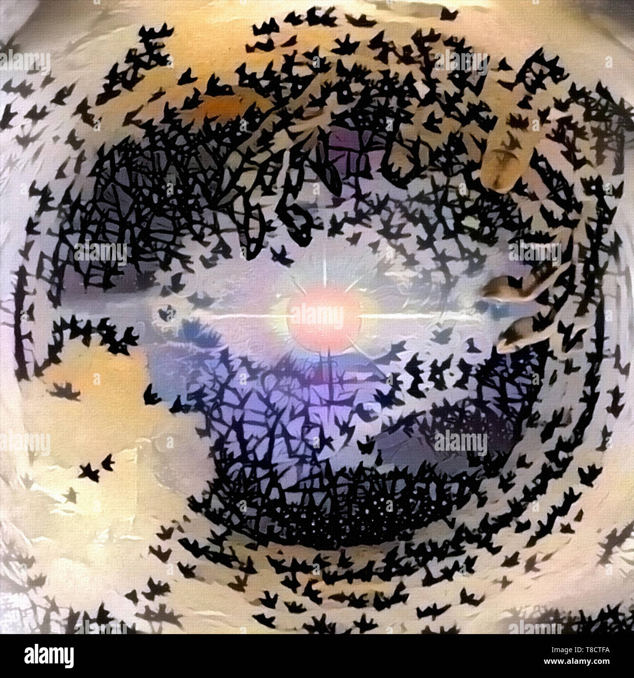 All seeing eye in birds vortex Stock Photo - Alamy