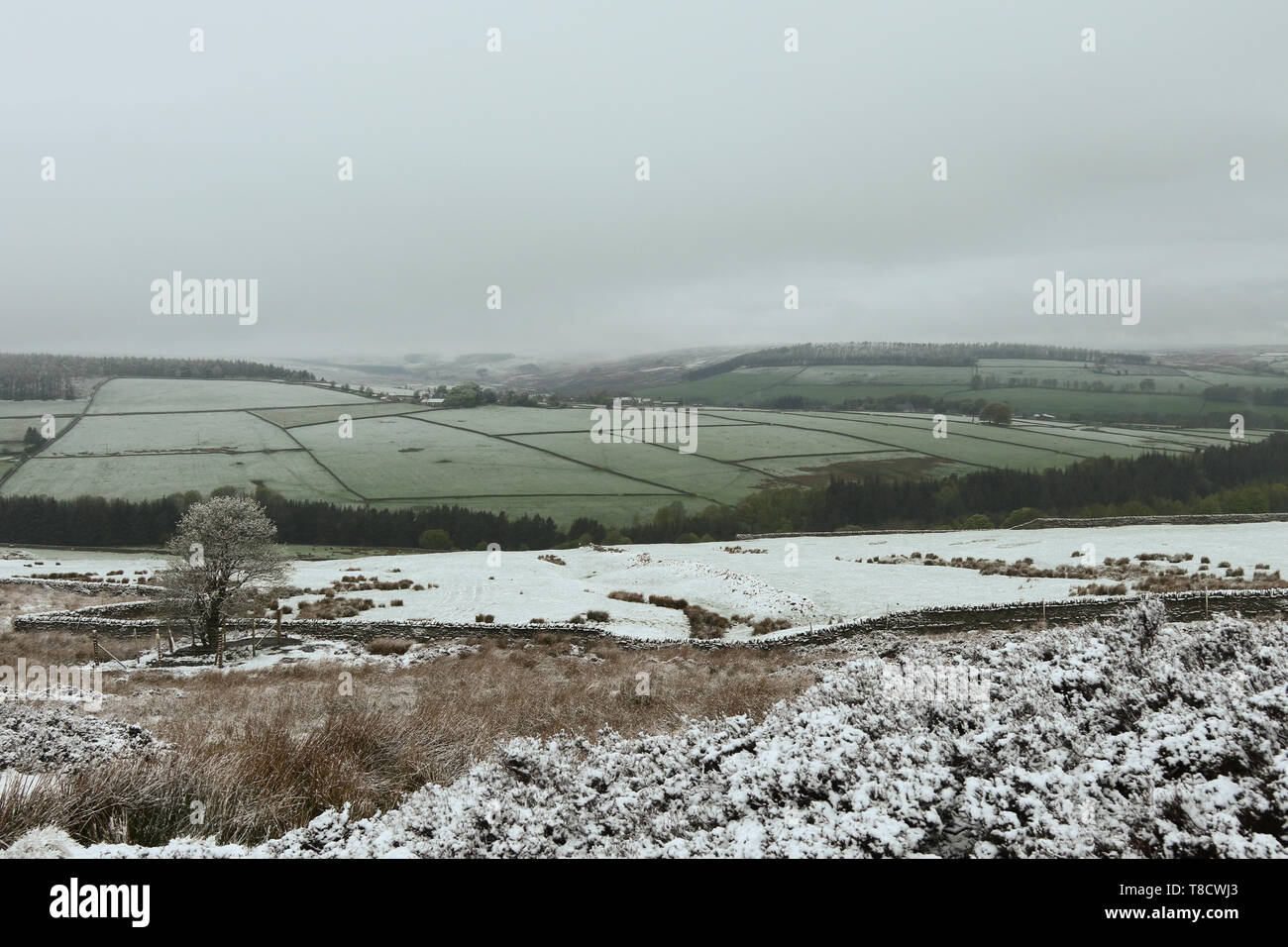 The Durham Moors High Resolution Stock Photography and Images - Alamy