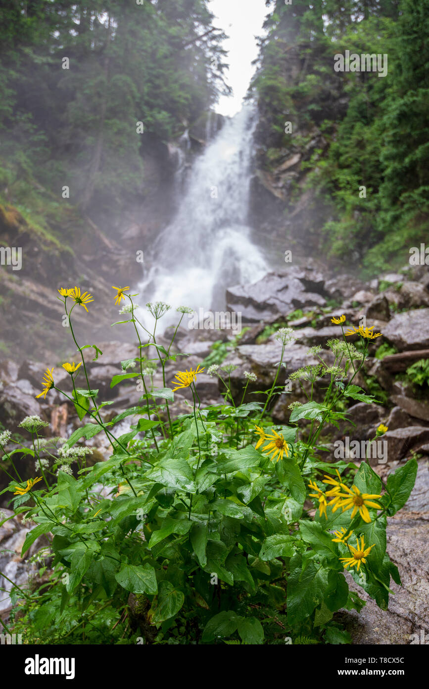 large rohache waterfall in spring. slovakia trails Stock Photo - Alamy