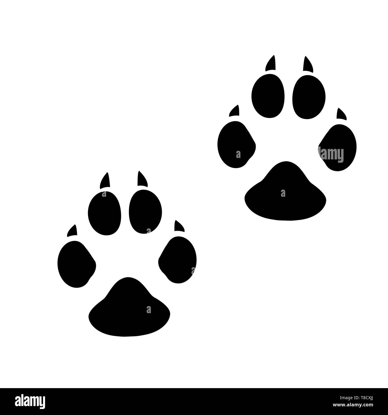 Wolf paw prints Black and White Stock Photos & Images - Alamy