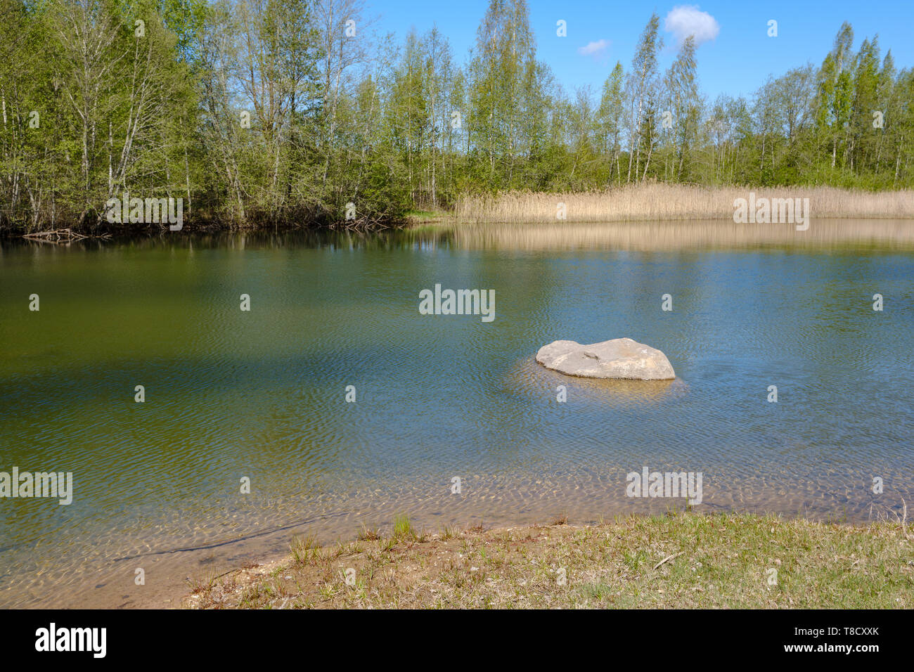 clear transparent water lake with sand bottom and large rock in the ...