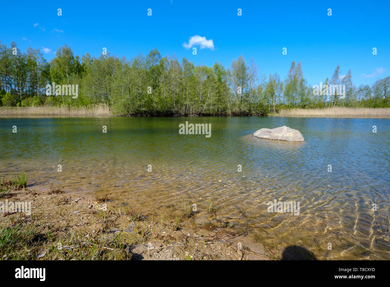 clear transparent water lake with sand bottom and large rock in the ...