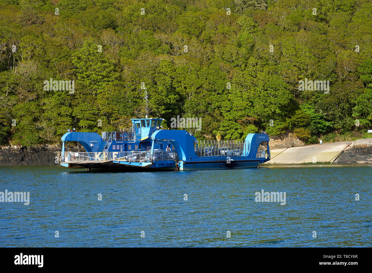 The King Harry Ferry crossing The River Fal from Trelissick Gardens ...