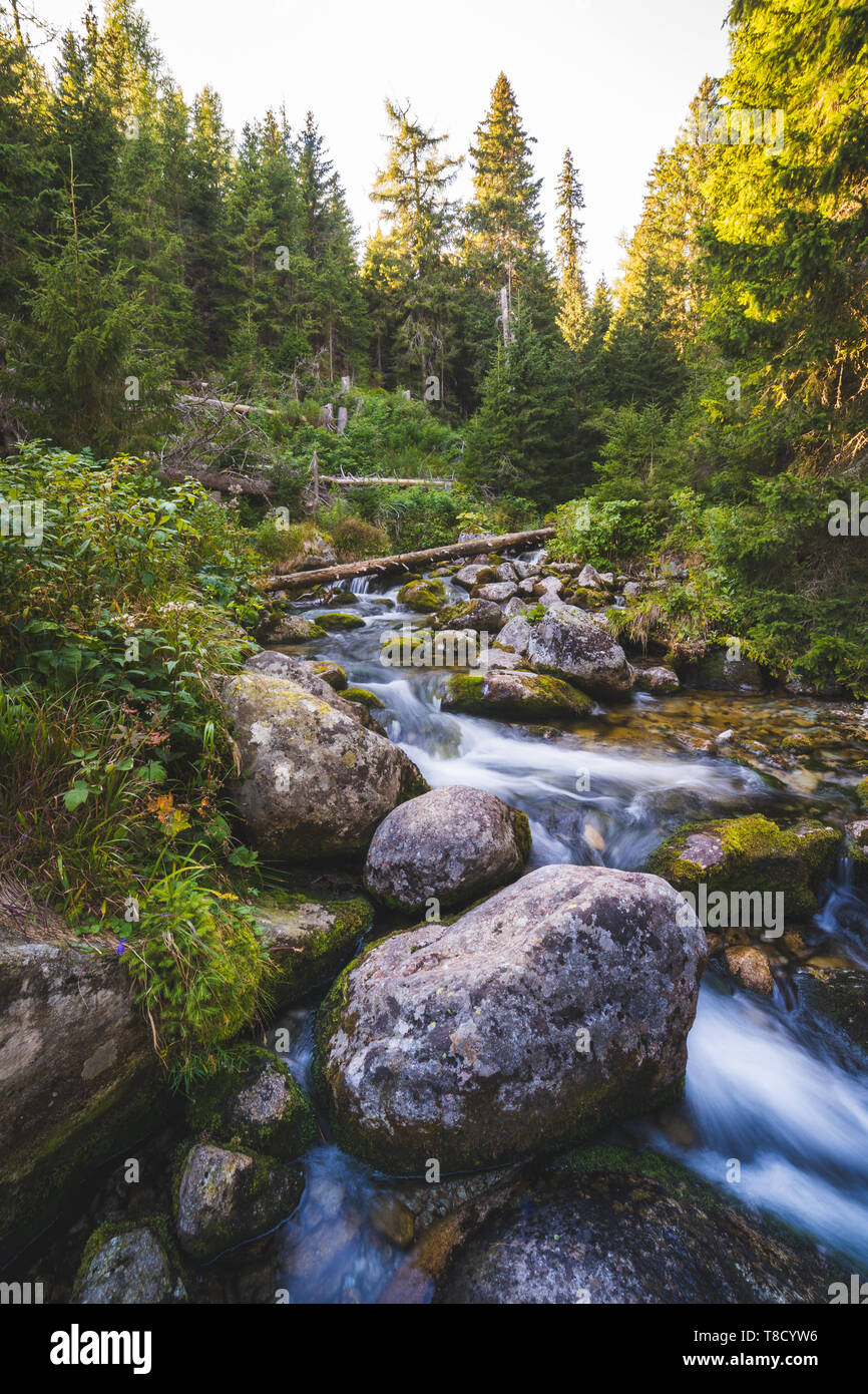 Spring river flowing over rocks hi-res stock photography and images - Alamy