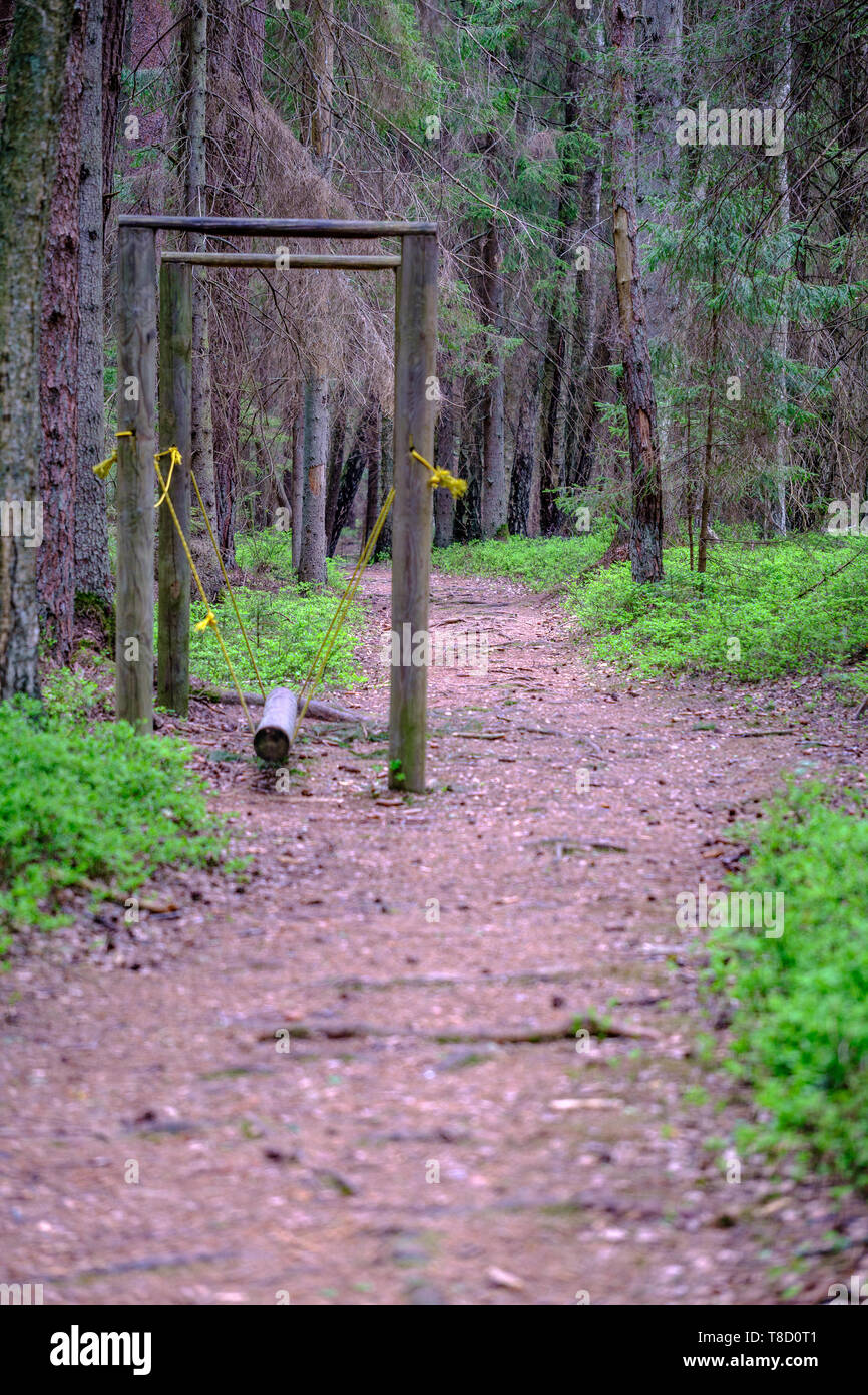 small narrow foot path in summer green forest with green grass and ...