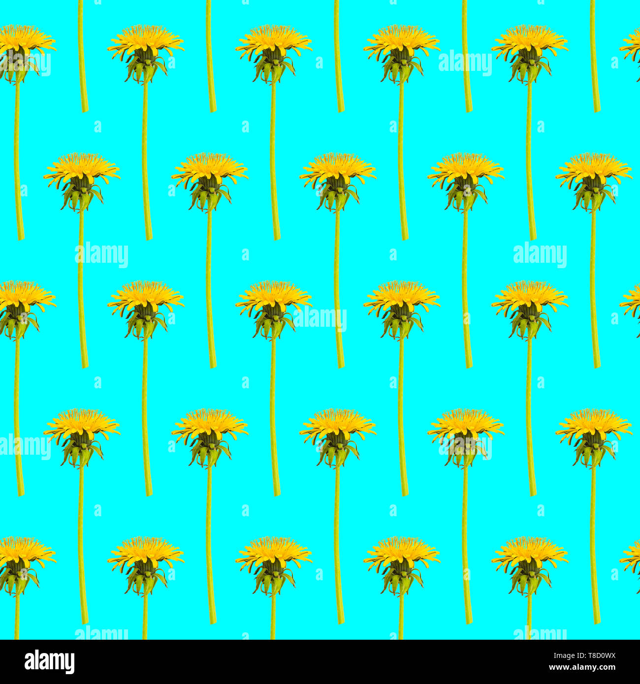 Dandelion seamless pattern hi-res stock photography and images - Alamy