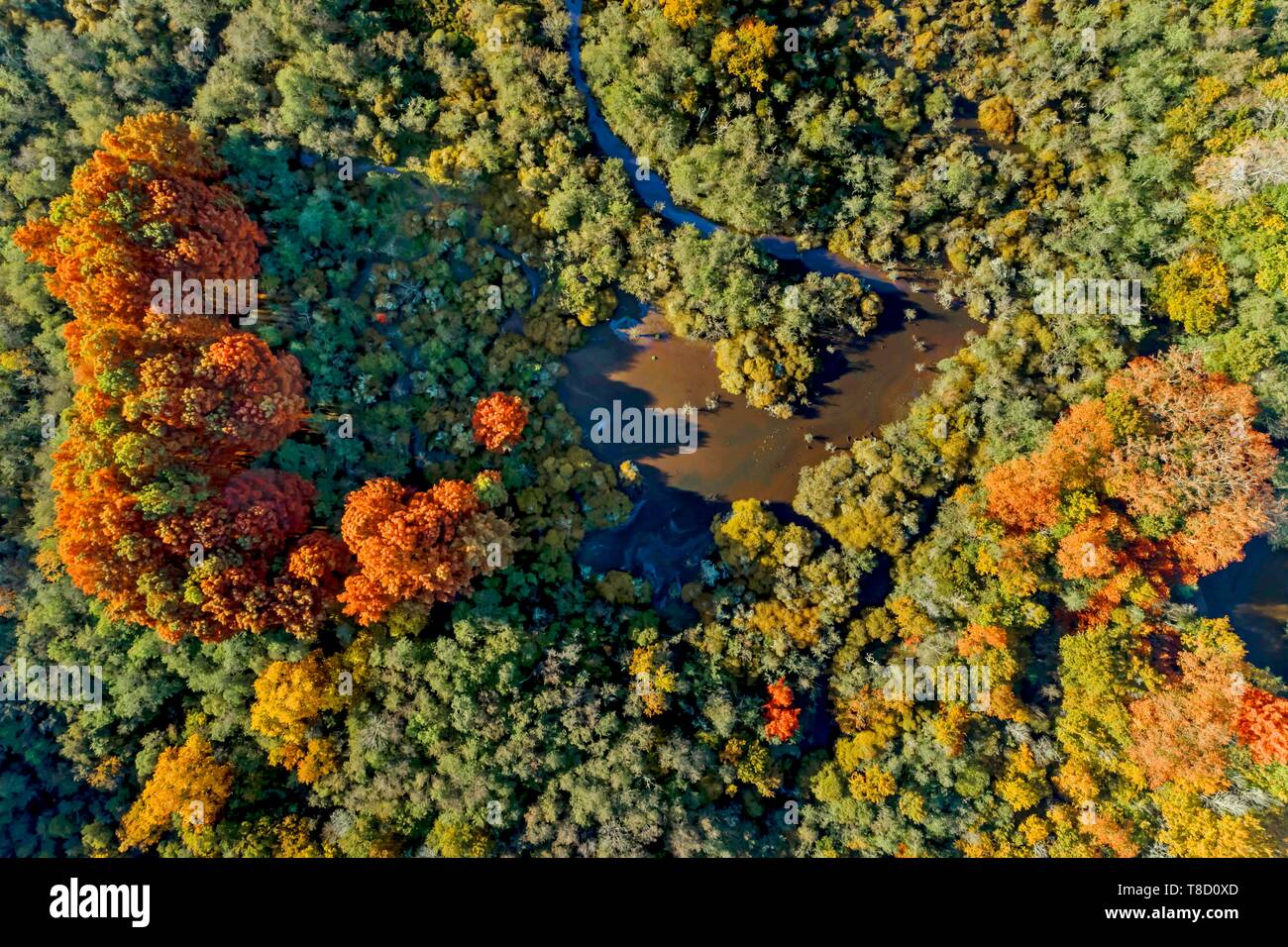Landes de gascogne regional natural park hi-res stock photography and ...