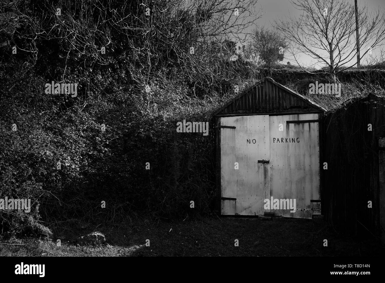 Black & White: Dilapidated corrugated iron shed with 'No Parking ...