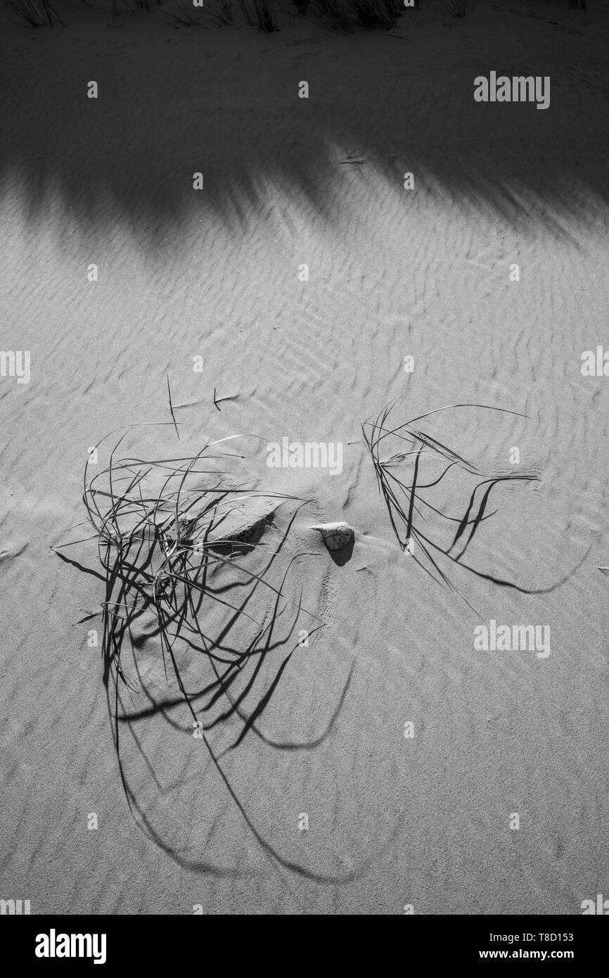 Maram hi-res stock photography and images - Alamy