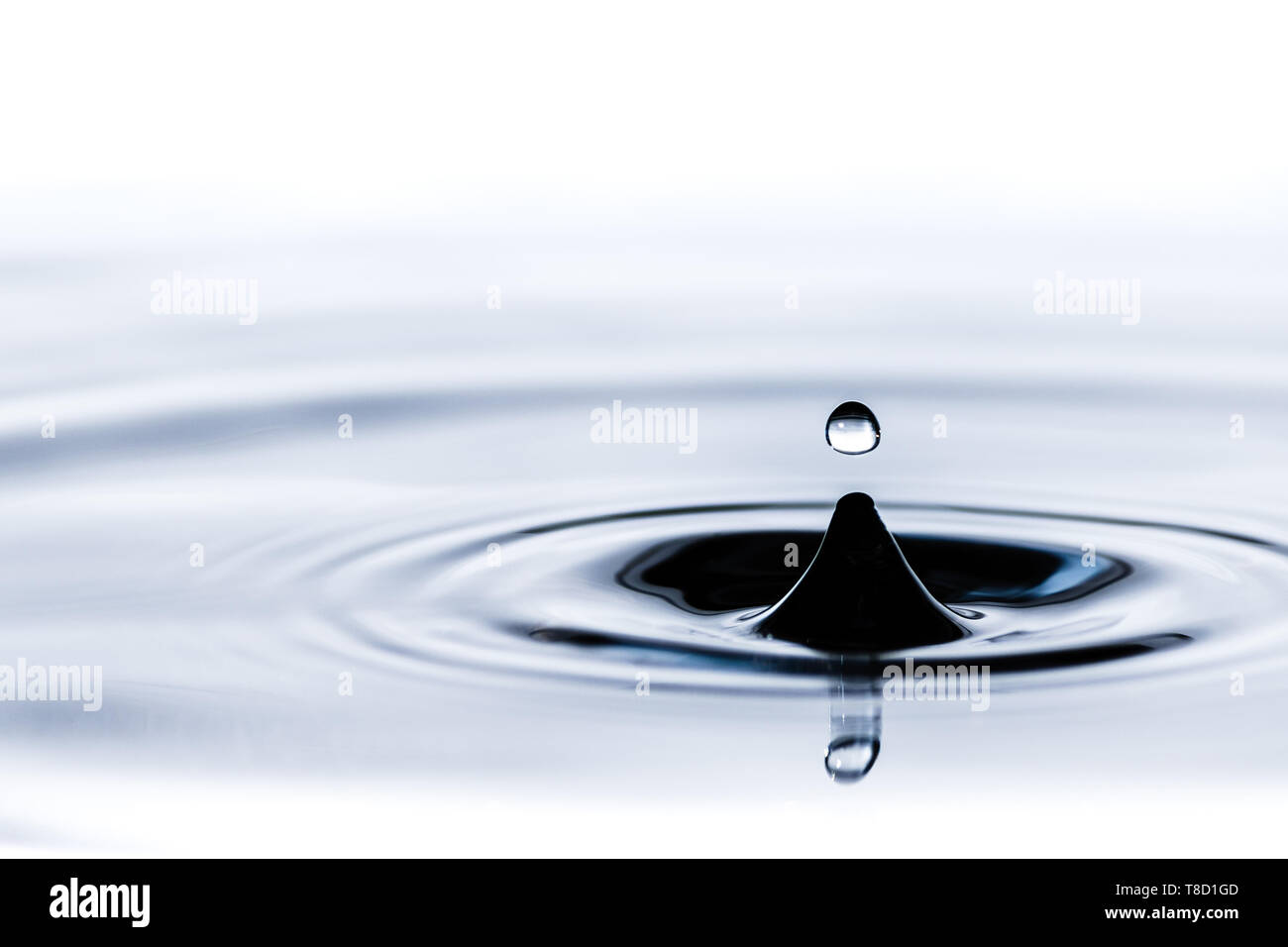 Water Splash, Macro abstract water background. Splashing water droplet ...