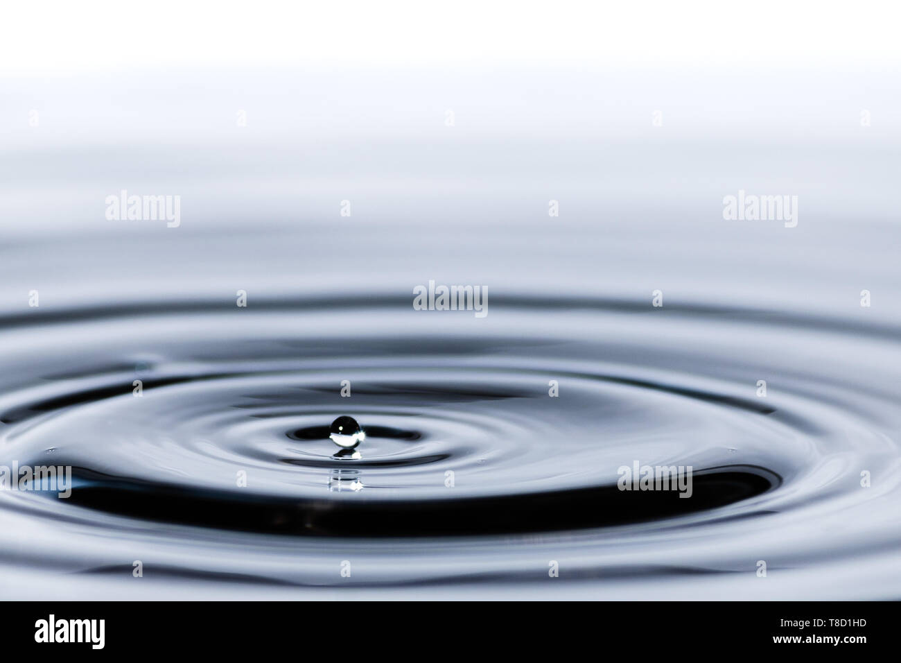 Water Splash, Macro abstract water background. Splashing water droplet ...