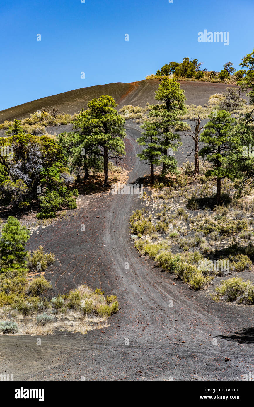 Cinder Hills, Arizona, USA Stock Photo - Alamy