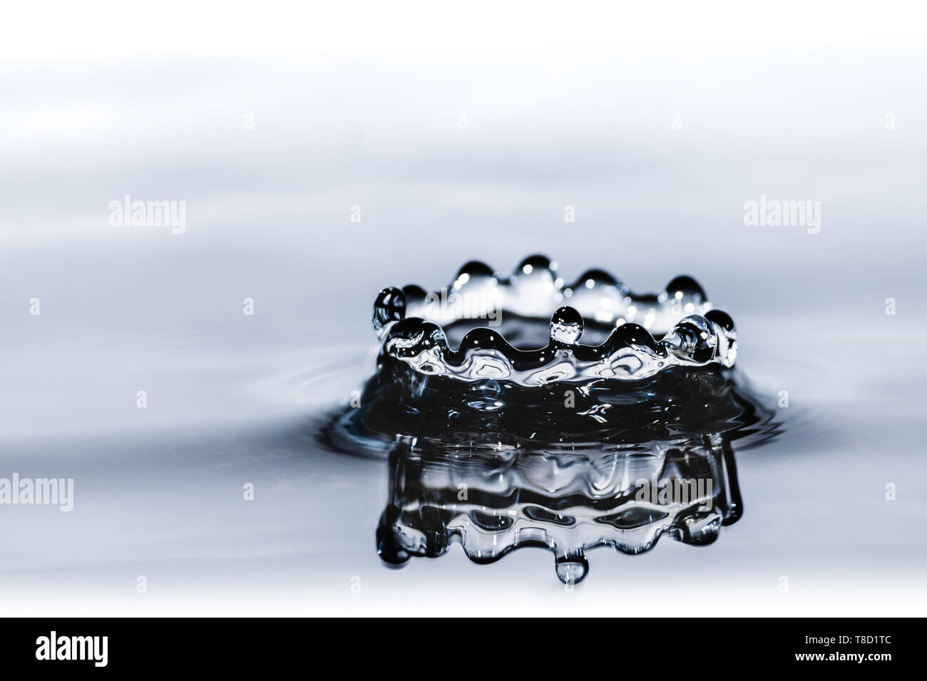 Water Splash, Macro abstract water background. Splashing water droplet ...