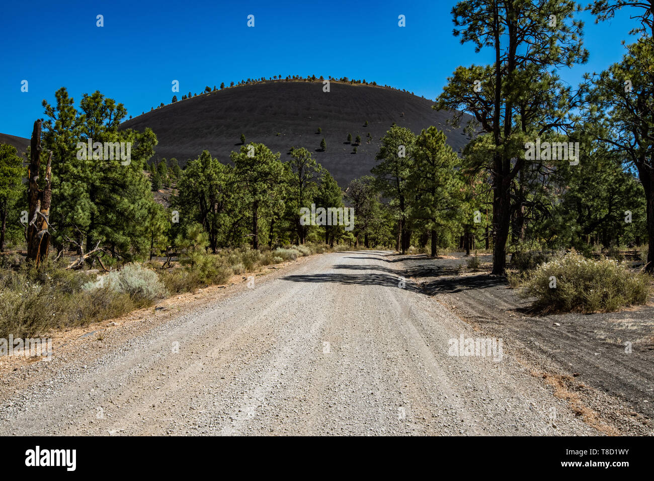 The cinder hills hi-res stock photography and images - Alamy