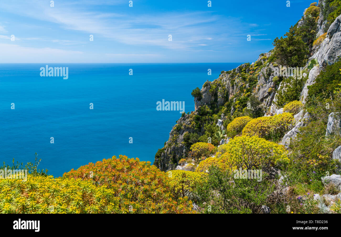 Cape palinuro hi-res stock photography and images - Alamy