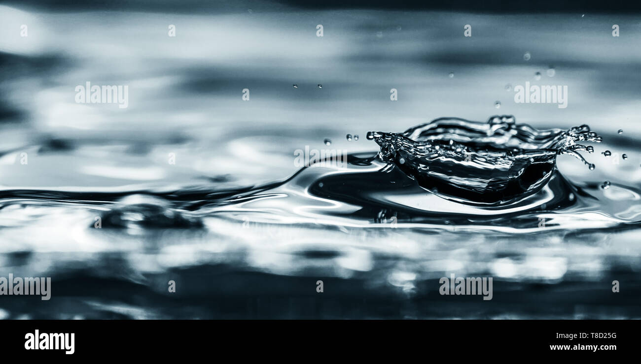 Water Splash, Macro abstract water background. Splashing water droplet ...