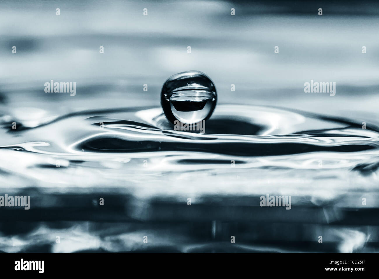 Water Splash, Macro abstract water background. Splashing water droplet ...