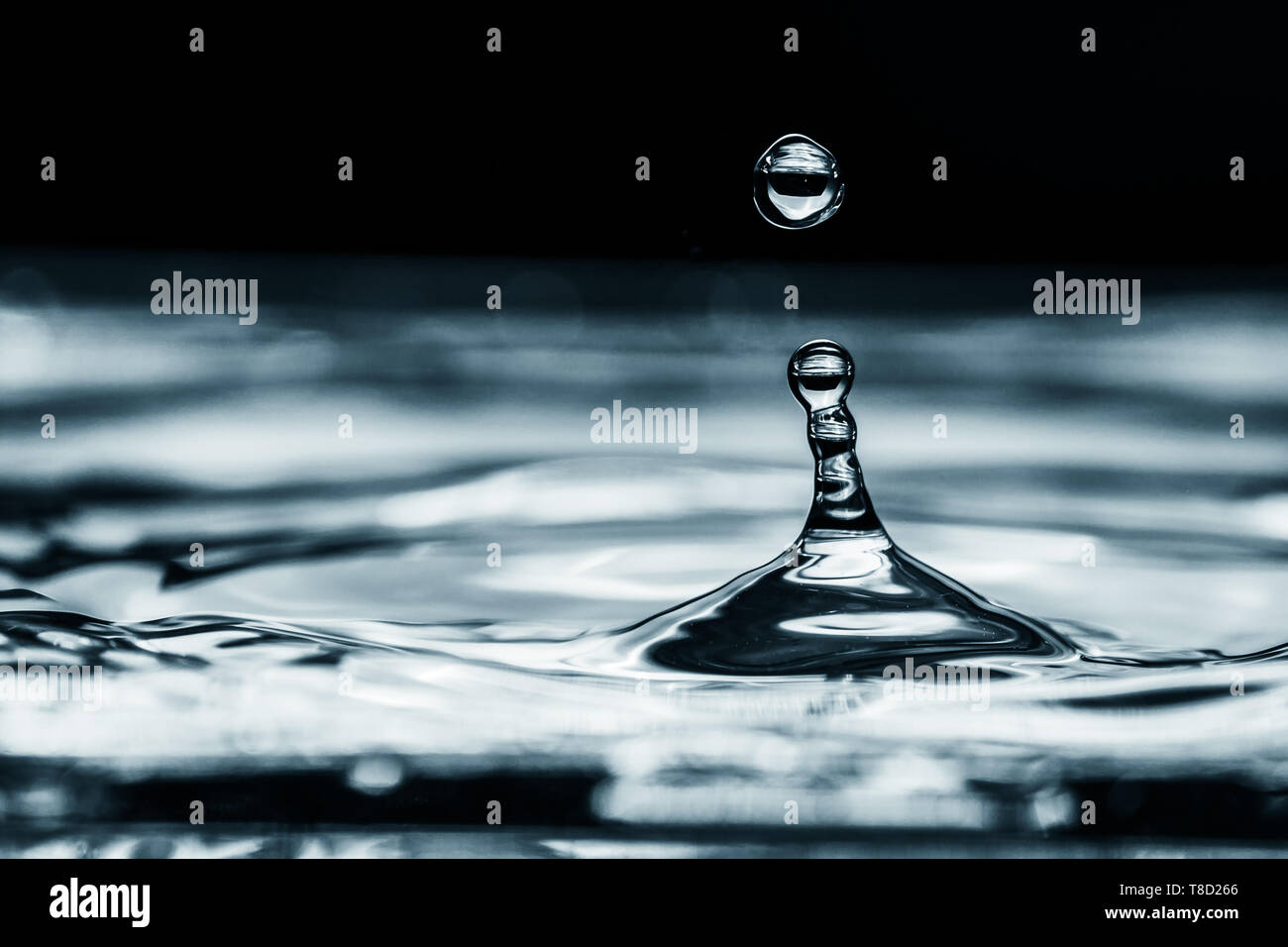 Water Splash, Macro abstract water background. Splashing water droplet ...