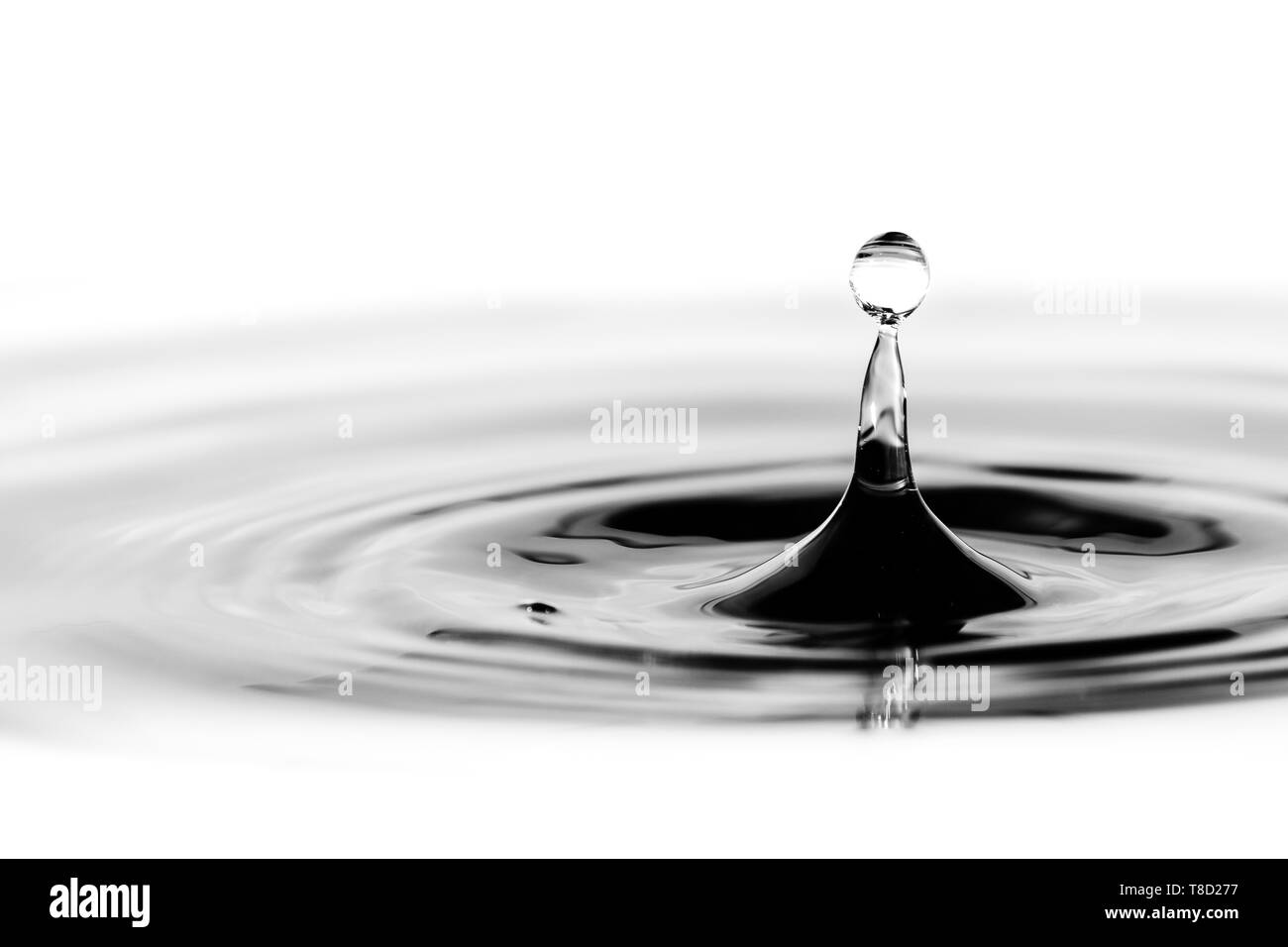 Water Splash, Macro abstract water background. Splashing water droplet ...