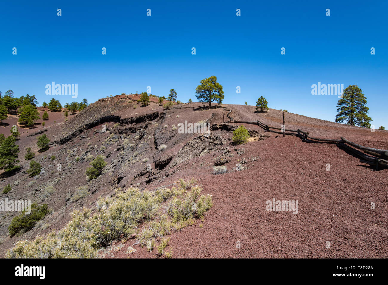 Cinder Hills, Arizona, USA Stock Photo - Alamy