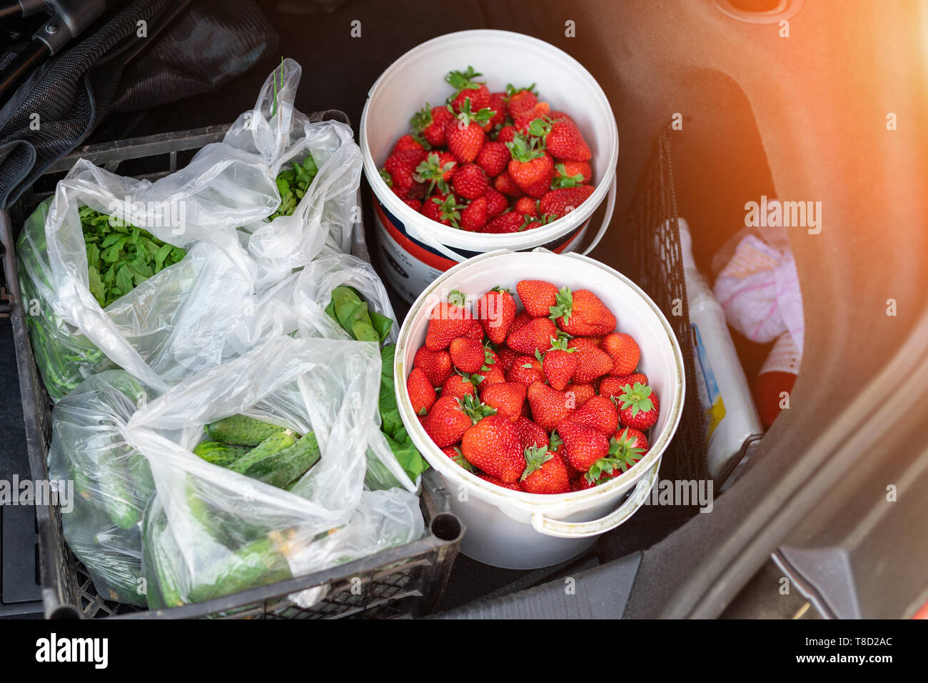 Close-up car trunk with fresh ripe organic vegetables and berries ...