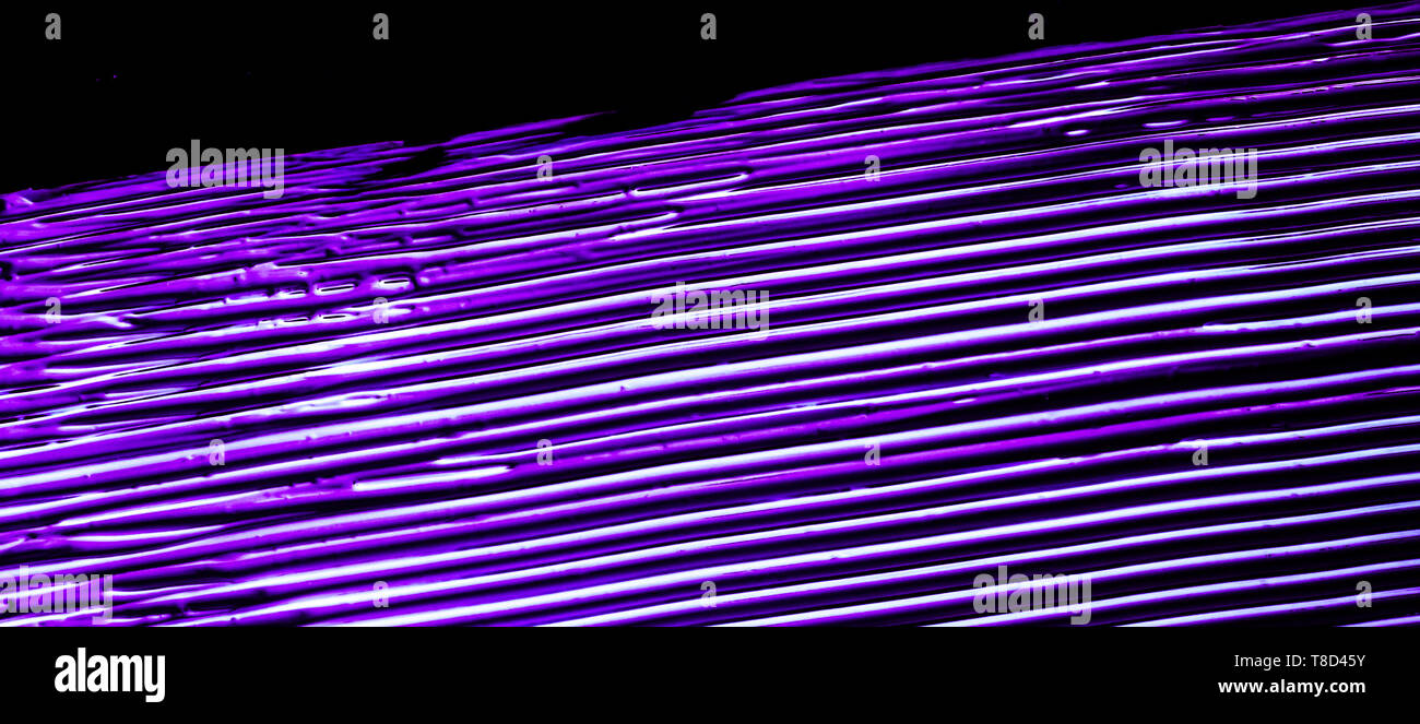 Art abstract, cosmetic product and hand painted design concept - Purple ...