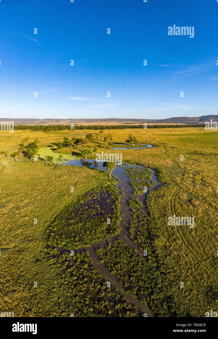 Musiara marsh hi-res stock photography and images - Alamy