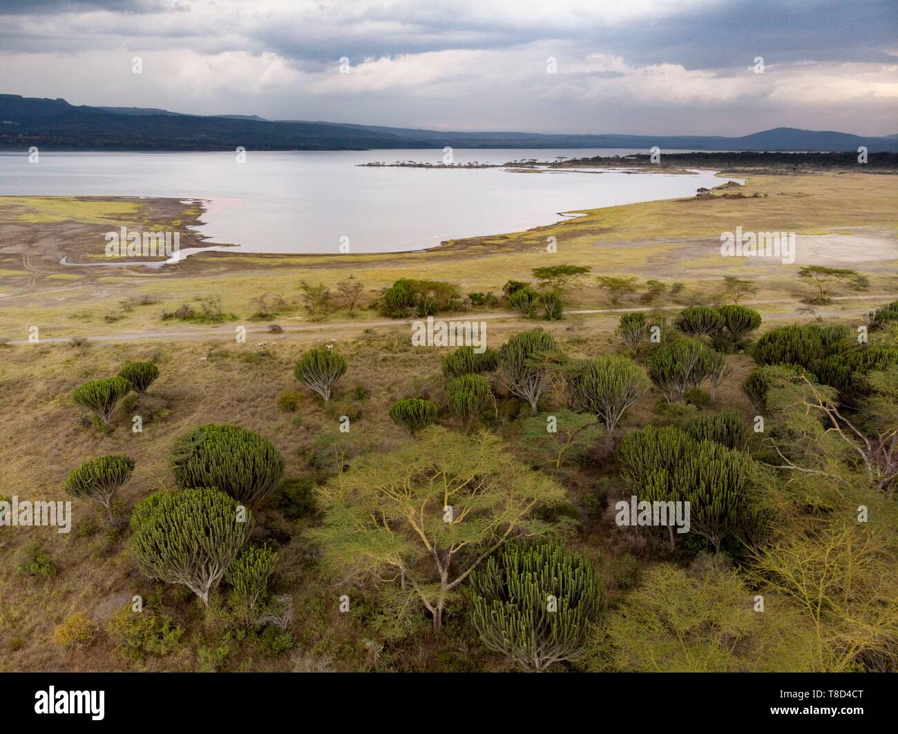 Soysambu kenya hi-res stock photography and images - Alamy