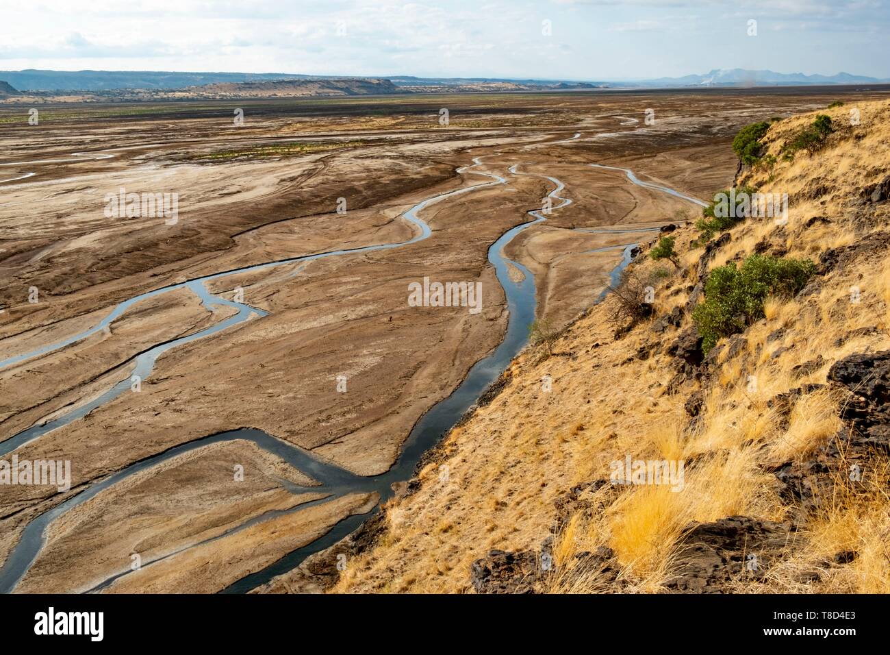 Kenya, lake Magadi, Rift valley, little Magadi Stock Photo - Alamy