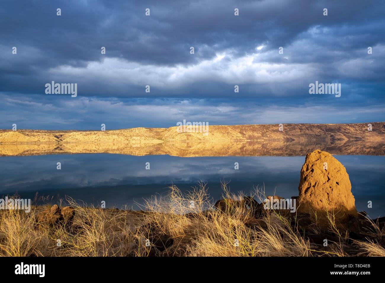 Kenya, lake Magadi, Rift valley, little Magadi and termite hill Stock ...