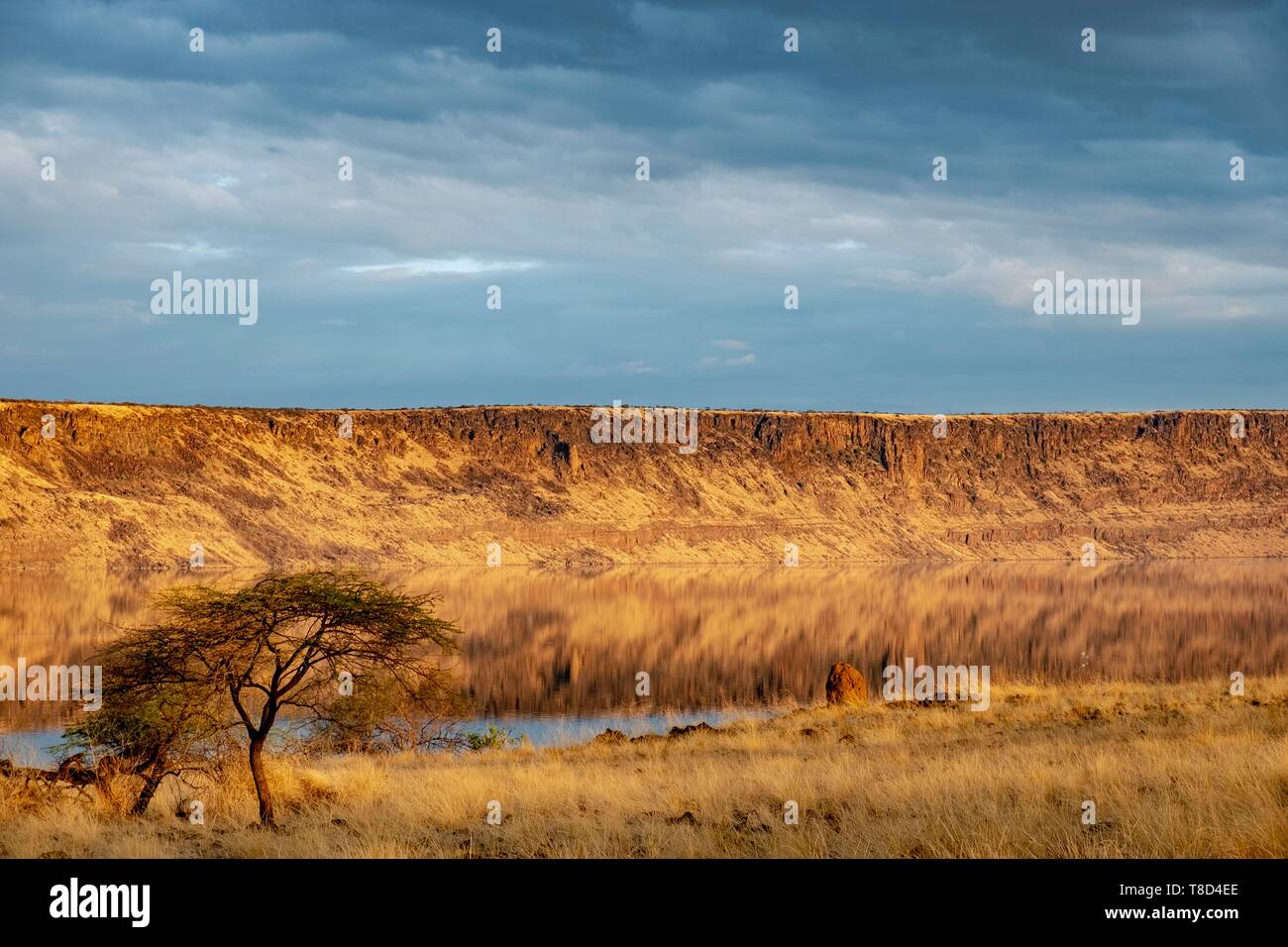 Kenya, lake Magadi, Rift valley, little Magadi Stock Photo - Alamy