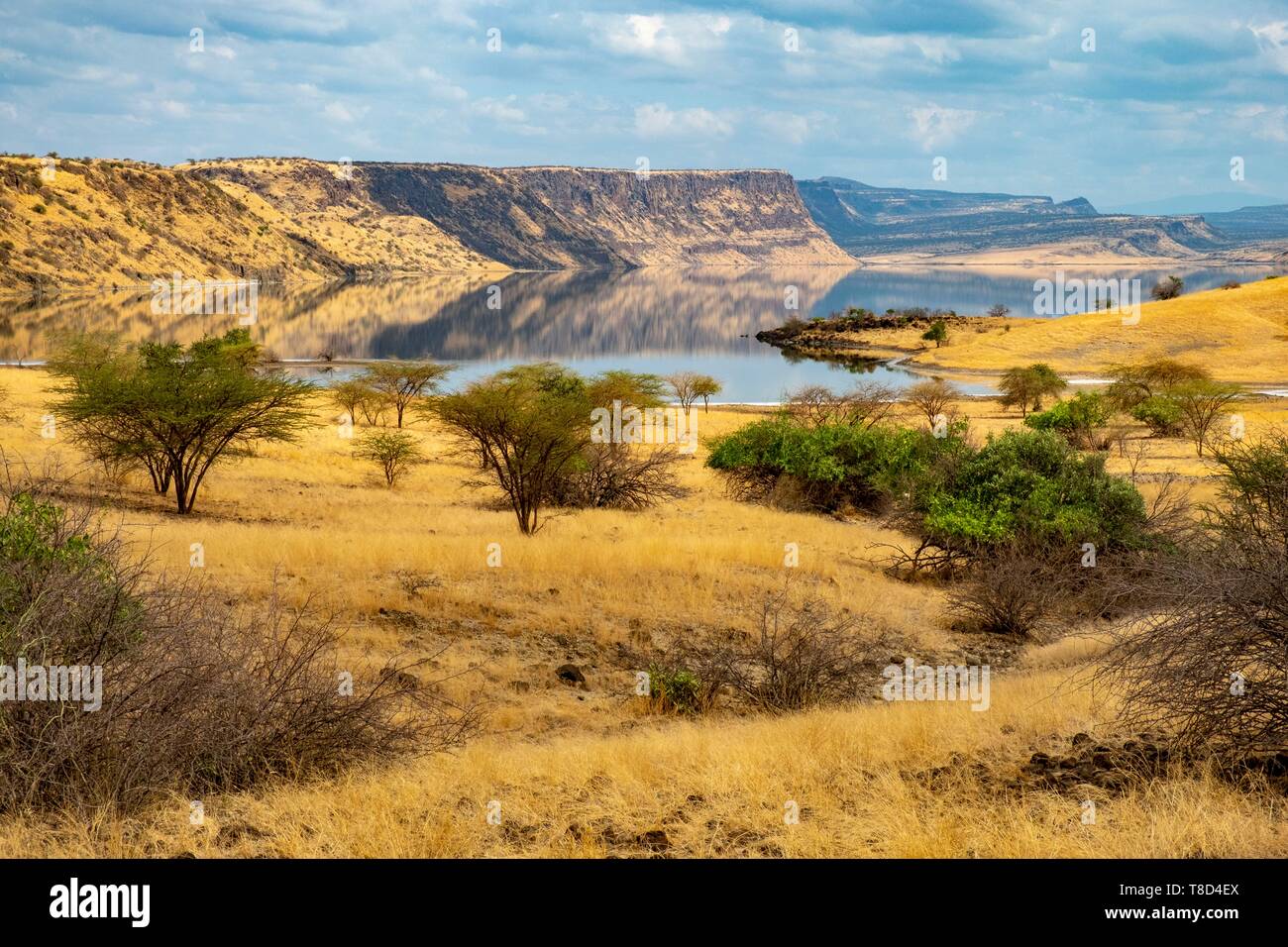 Kenya, lake Magadi, Rift valley Stock Photo - Alamy