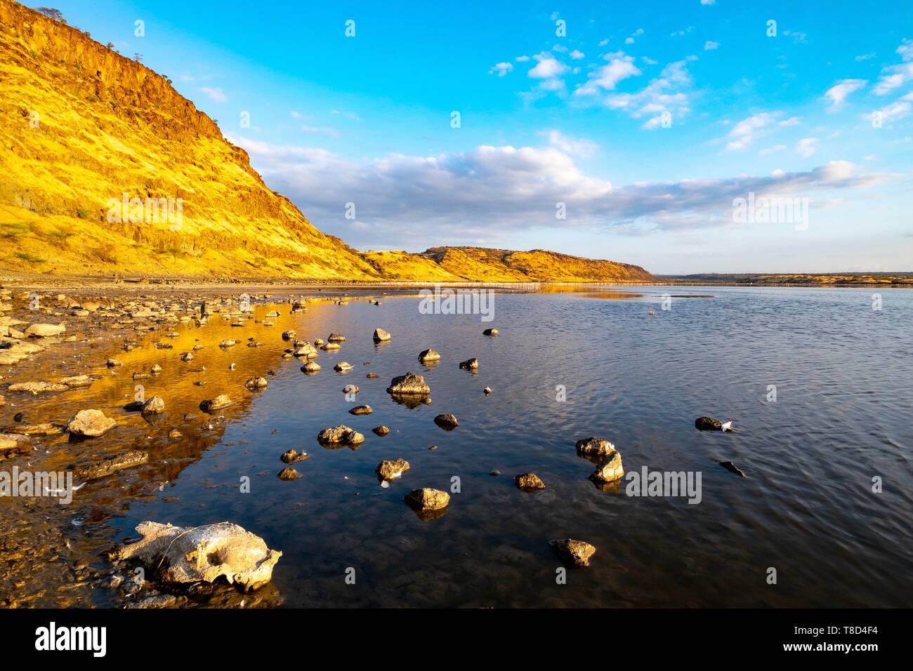 Kenya, lake Magadi, Rift valley Stock Photo - Alamy