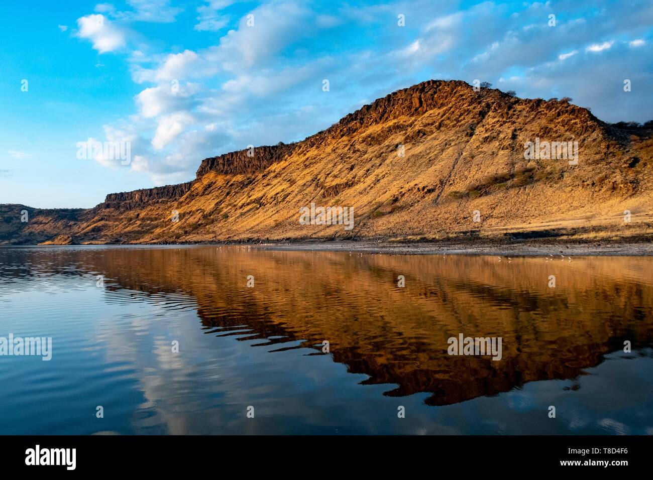 Kenya, lake Magadi, Rift valley, at dawn Stock Photo - Alamy